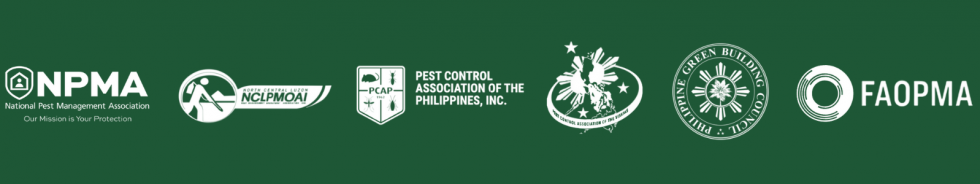 Leveraging PhilGEPS Registration for Government Contracts | EPC