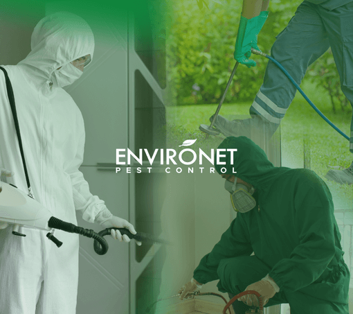 General Pest Control Services | Environet Pest Control